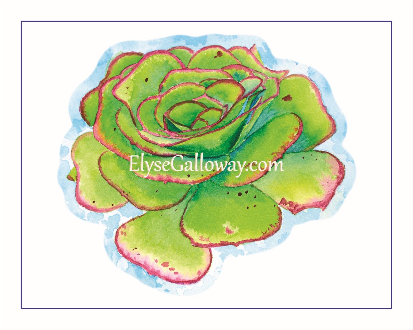 Watercolor – Elyse Galloway Wildlife & Portraiture Art