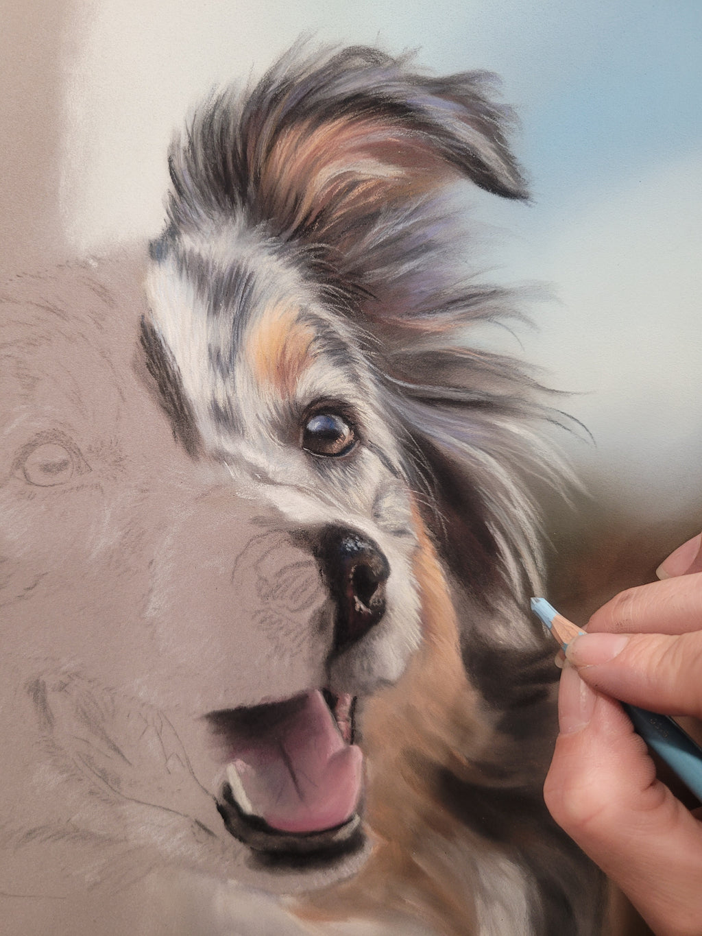 Realistic Dog Portraits in Soft Pastel, Two Day Workshop – Elyse ...