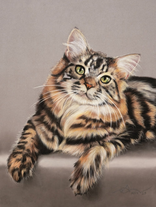 Book a Portrait – Elyse Galloway Wildlife & Portraiture Art