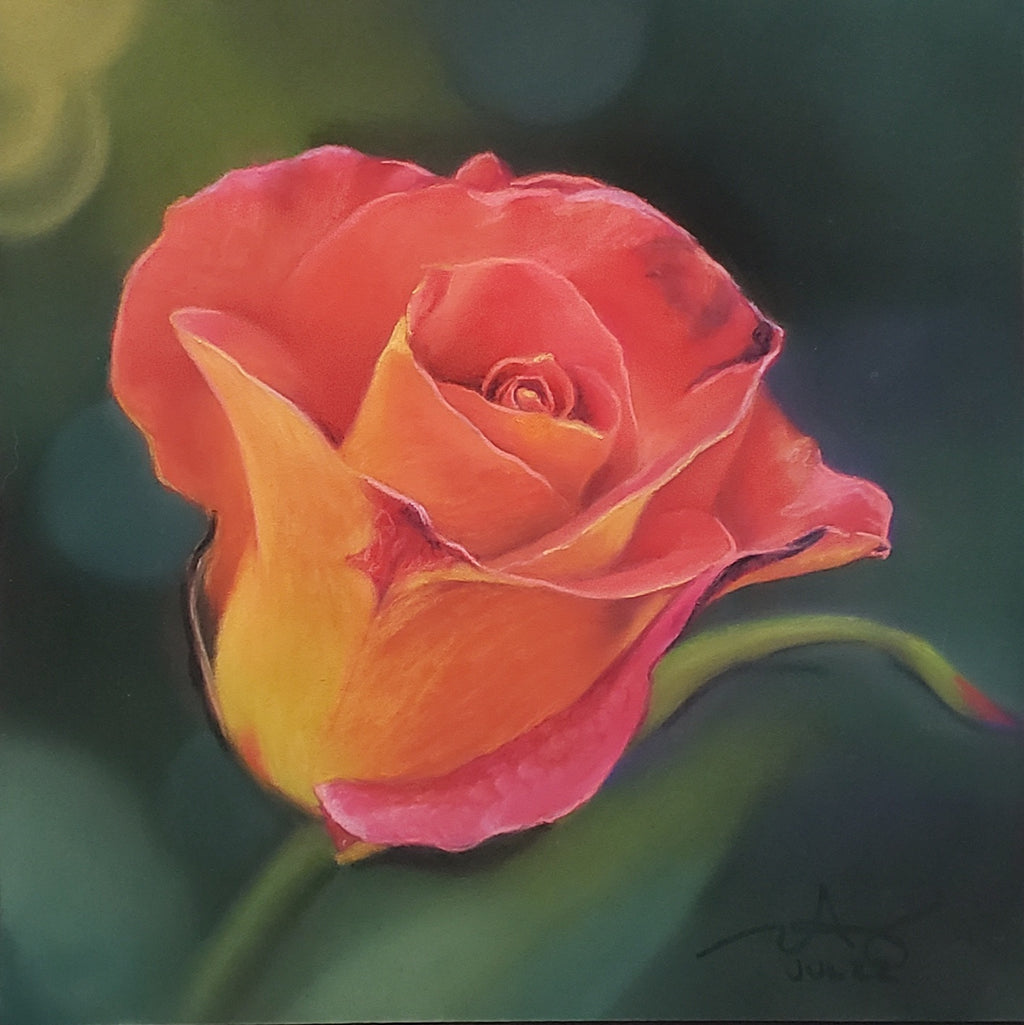 Original - Sunrise Rose *Framed – Elyse Galloway Wildlife & Portraiture Art
