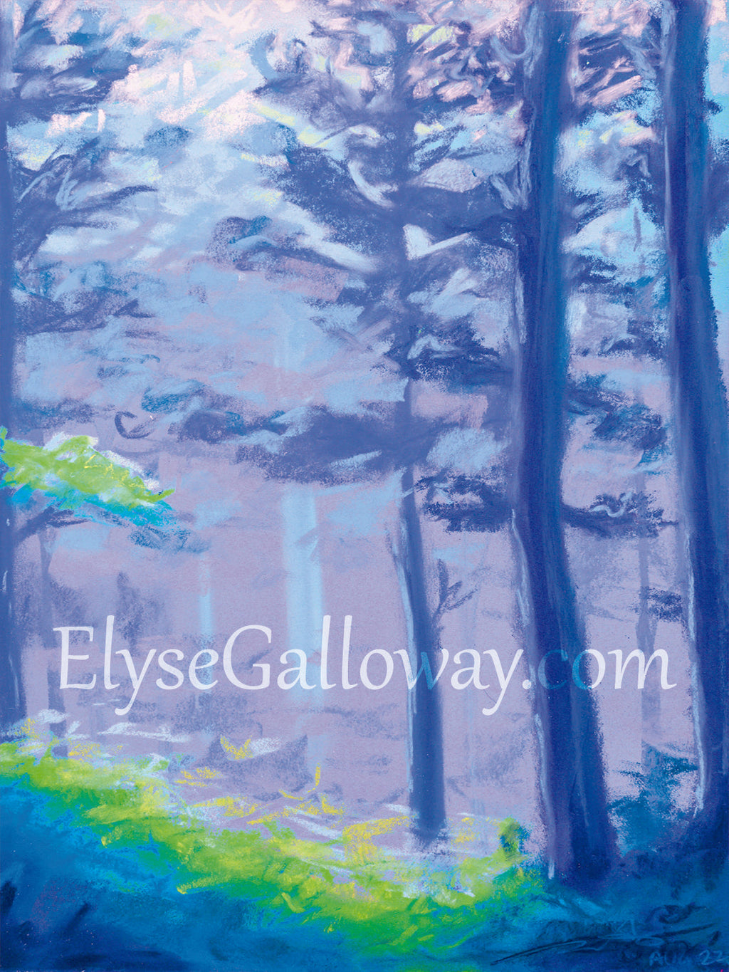Playful Pastel Cards – Elyse Galloway Wildlife & Portraiture Art